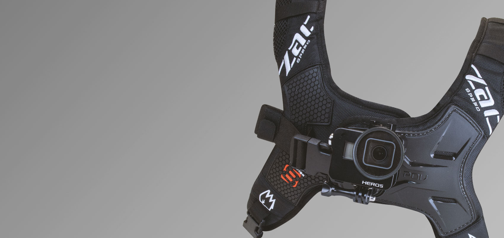 Harness – Zacspeed US